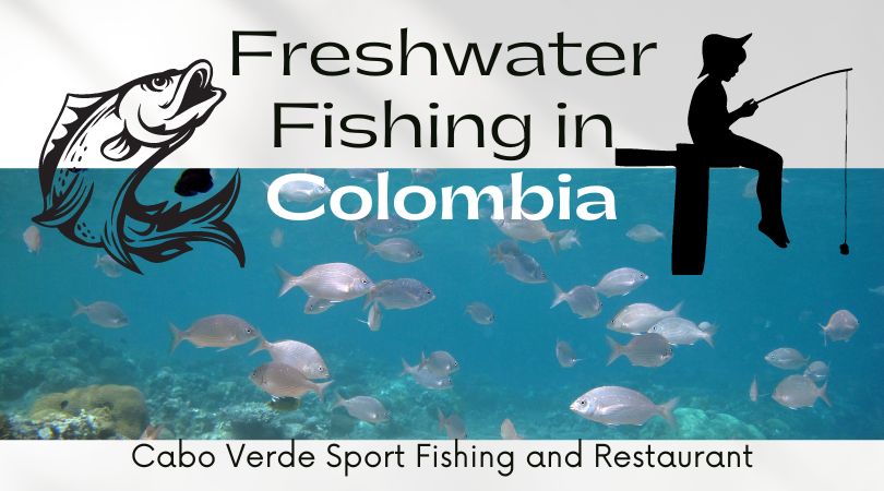 Fun Freshwater Fishing in Colombia 45 minutes from Pereira - Coffee ...